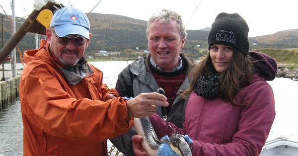 Une découverte de l'Université Laval dans le palmarès du magazine ...