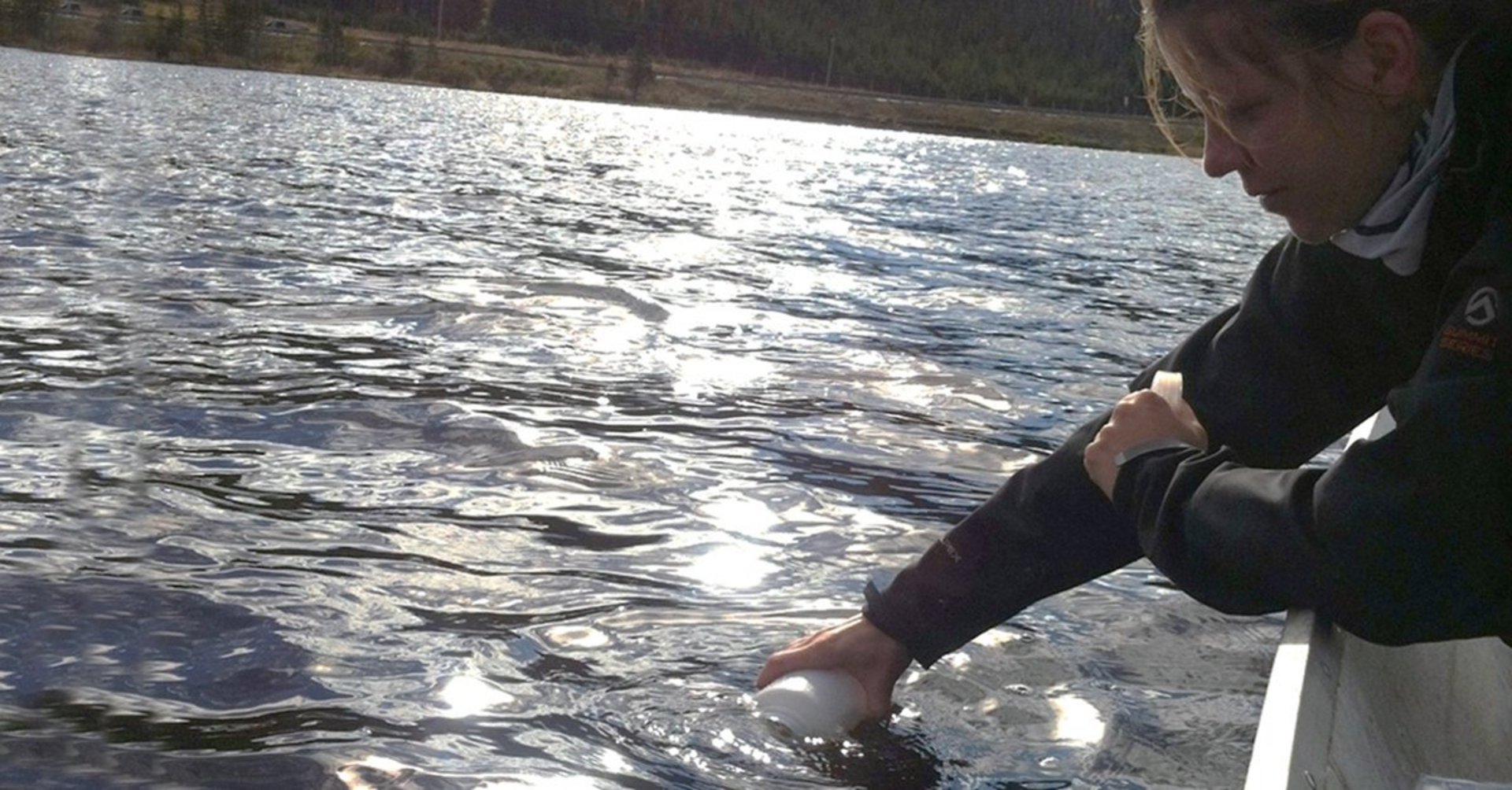 Mesurer l’abondance de poissons dans un lac à partir de quelques ...