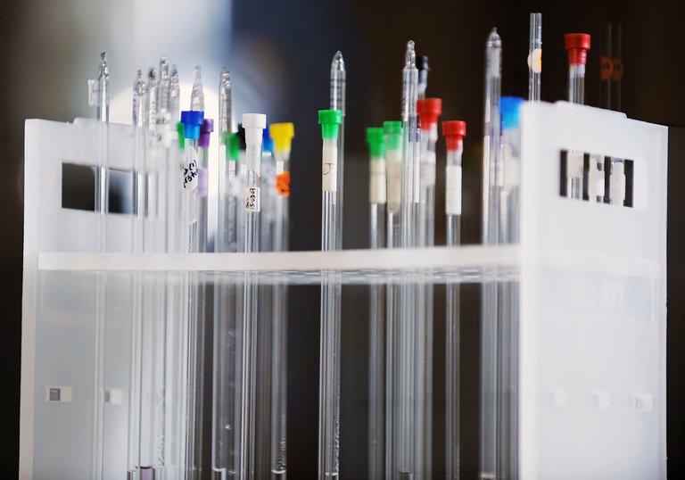 Biochimie, microbiologie et bio-informatique - Faculté des sciences et ...